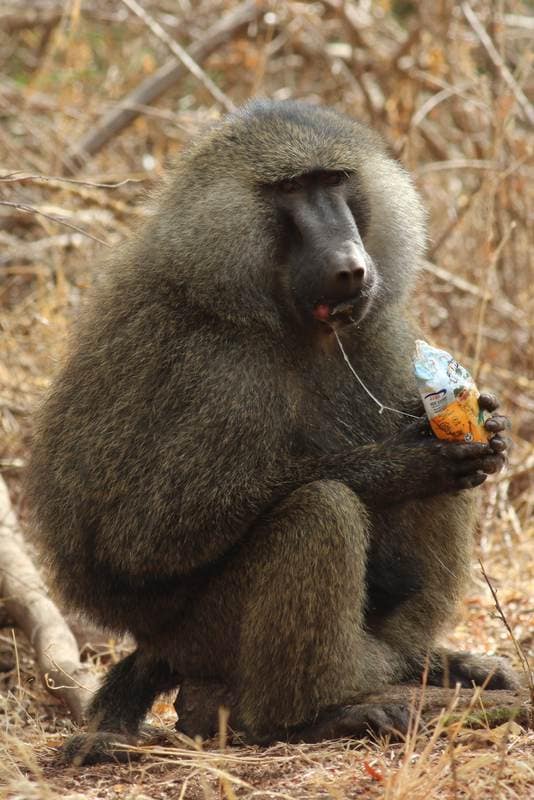 Everything you need to know about Vaccinations and your Health – for ...